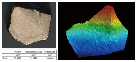A Method For Accurate And Easy Measurement Of Surface Area D