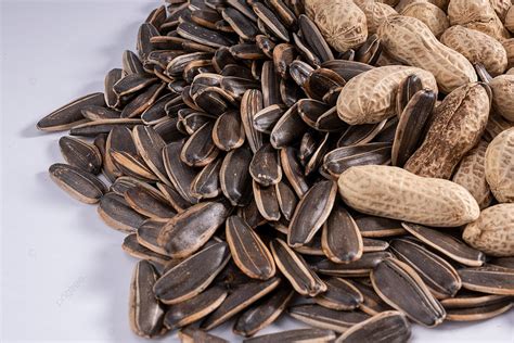해바라기씨 땅콩 견과 류 하 얀 밑그림 해바라기 씨 견과 땅콩 배경 일러스트 및 사진 무료 다운로드 Pngtree