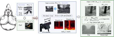 Hawk‐eye‐inspired Perception Algorithm Of Stereo Vision And Parts Of