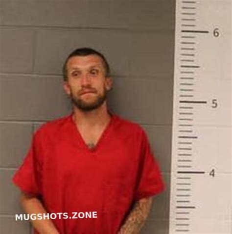 Caleb Brown 07292024 St Clair County Mugshots Zone