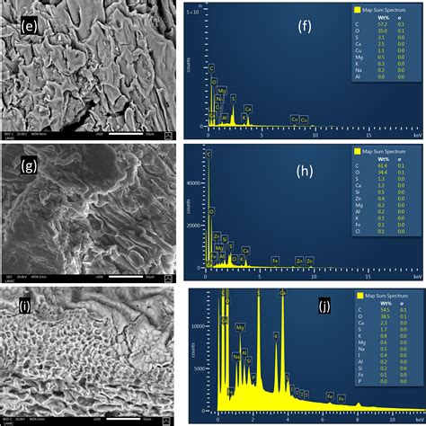 Low Cost Seaweed Biomass Treatment With Formaldehyde For Cationic Dyes Removal From Aqueous