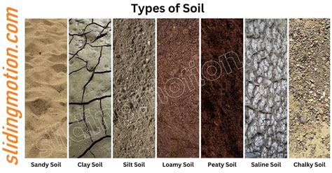 Explore 11 Types Of Soil Your Ultimate Guide With Expert Insights