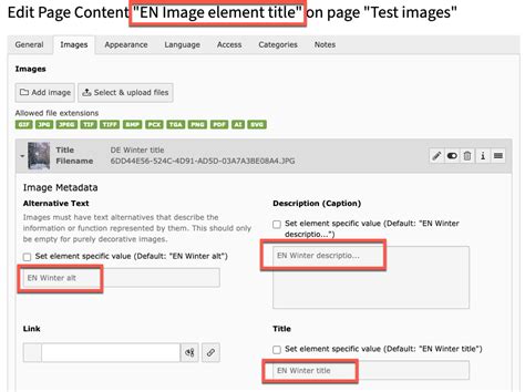Typo3 V10 Image Metadata Translation Issue Stack Overflow