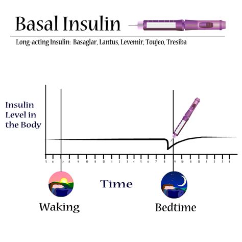 How Does Insulin Work T1d Toolkit