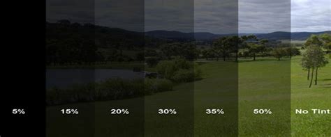 The Levels Of Window Tinting Homerous