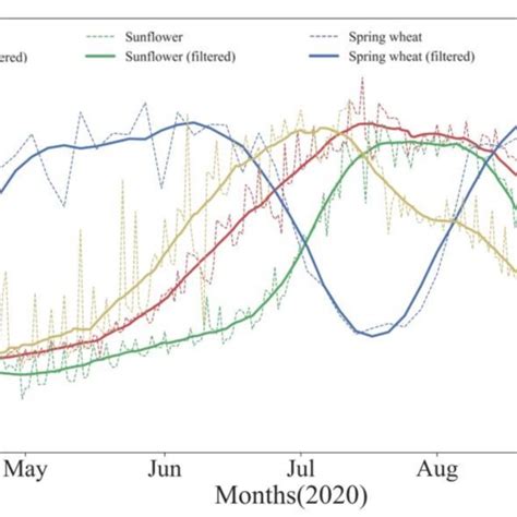 Ndvi Curve Characteristics Of Maize Sunflower Wheat And Zucchini For Download Scientific