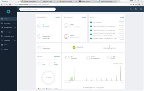 Rubrik Interface Virtually Sober