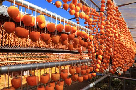 All About Kaki — The Must Try Autumn Flavor Of Japan