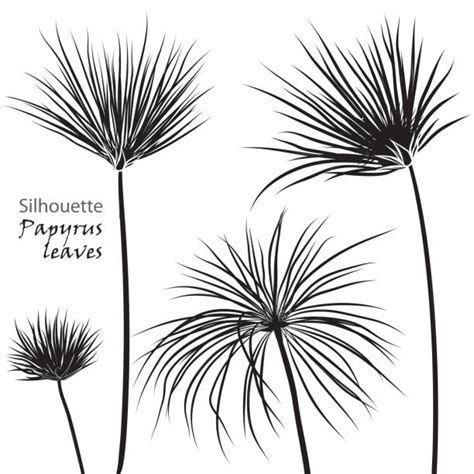 3 600 Papyrus Background Stock Illustrations Royalty Free Vector