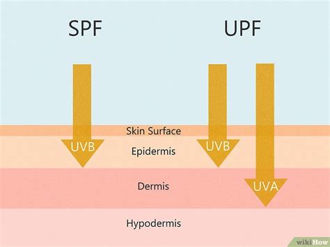 Upf Vs Spf Whats The Difference