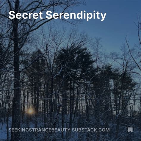 Emilie Ahern Emiahern • Instagram Photos And Videos