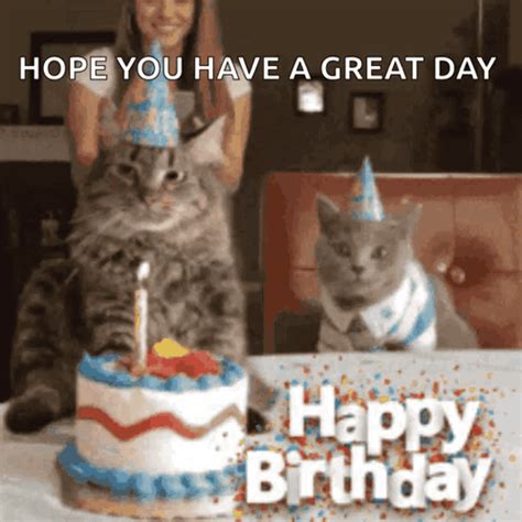 Happy Birthday Happy Birthday Cat  Happy Birthday Happy Birthday