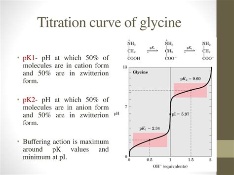 Ppt Amino Acids Powerpoint Presentation Free Download Id543480