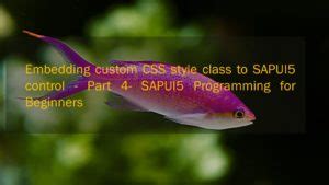 Embedding Custom CSS Style Class To SAPUI5 Control Part 4 SAPUI5