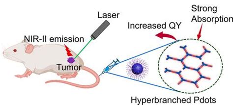 Hyperbranched Polymer Dots With Strong Absorption And High Fluorescence Quantum Yield For In
