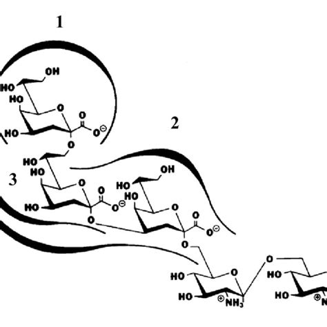 Lps Structure P Phosphate Kdo 3 Deoxy D Manno Octulosonic Acid Download Scientific Diagram
