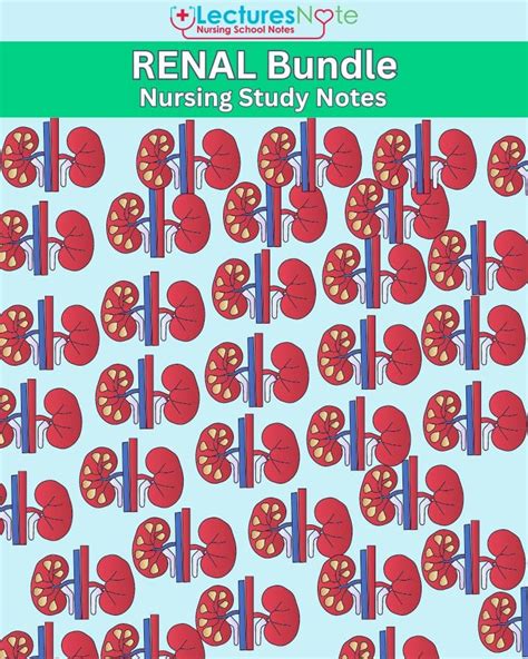 Master Renal Nursing With The Renal Bundle Lectures Note