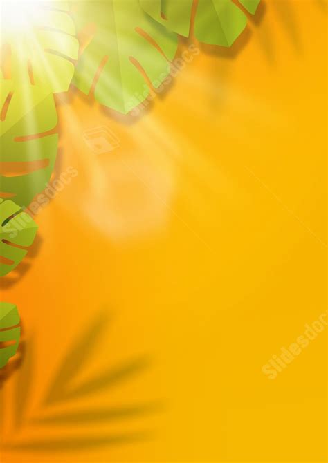 Mango Plant A Fruit Of Summer Page Border Background Word Template And