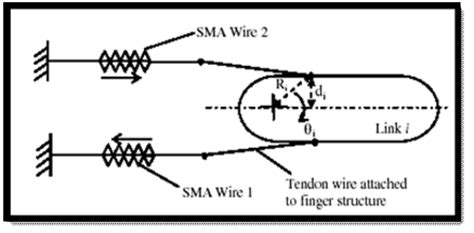 Shape Memory Alloy Wire Driven Agonistantagonist Tendon Pairs For Download Scientific Diagram