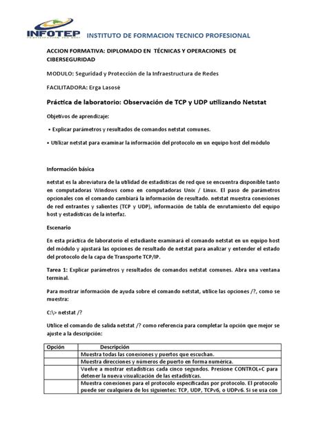 práctica de laboratorio netstat descargar gratis pdf protocolo de