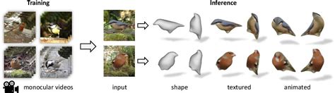 Reconstructing 3d Shapes From 2d Imagesvideos Rlatestinml