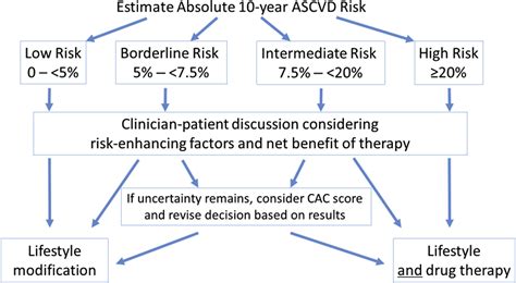 Use Of Risk Assessment Tools To Guide Decision Making In The Primary