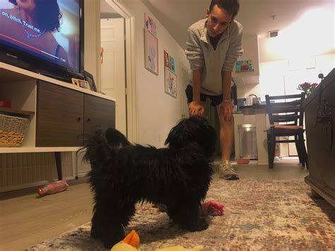 Photojournalism Basics The Shots Grace Conway