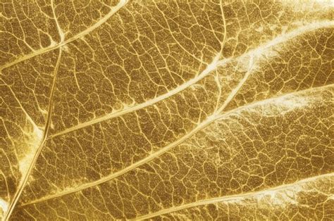 Shiny Leaf Texture Images Free Download On Freepik