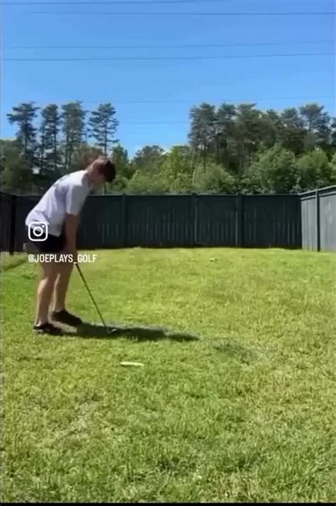 Dumb Dump Album On Imgur