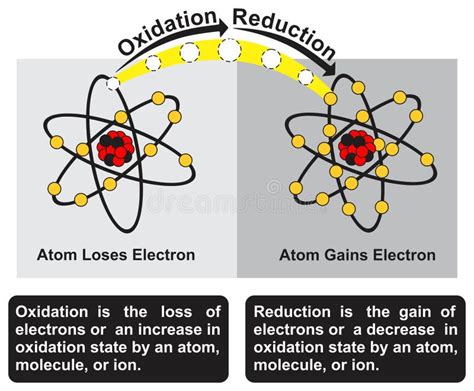 Oxidation Reduction Reactions