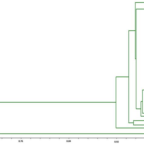 dendrogram of resulting from a upgma cluster analysis based on ssr