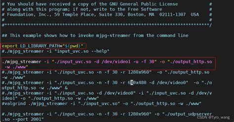 linux下摄像头设置固定的设备名 linux固定设备名 csdn博客