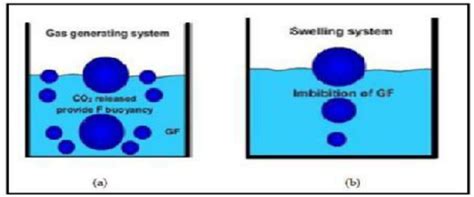 A Effervescent Systems B Swelling Floating System Download Scientific Diagram