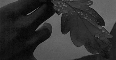 საქართველო • ცვრიან ბალახზე თუ ფეხშიშველა არ გავიარე რაა მამული