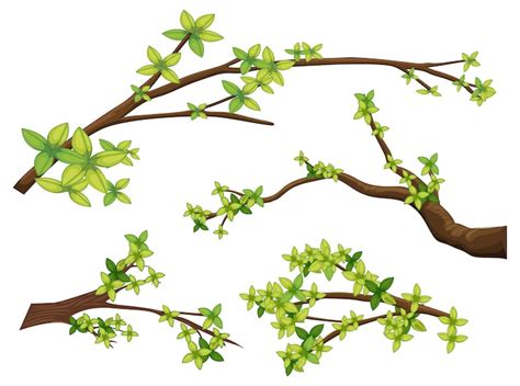 Tree Branch Animated Images Free Download On Freepik