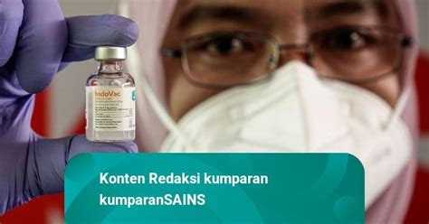 Kipi Vaksin Indovac Ringan Hanya Nyeri Lokal Dan Pegal Pegal