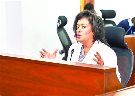 Passaris My Amendment Does Not Seek To Silence Protests People Daily
