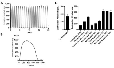Video Evaluation Of Cardiac Contractility Modulation Therapy In 2d Human Stem Cell Derived
