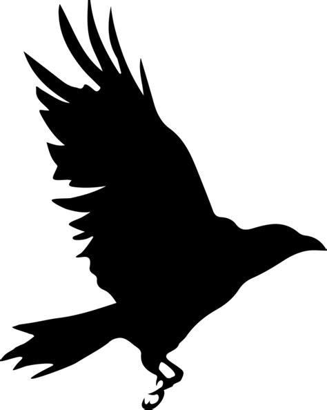 Crow Silhouette Png 20 Free Cliparts Download Images On Clipground 2026