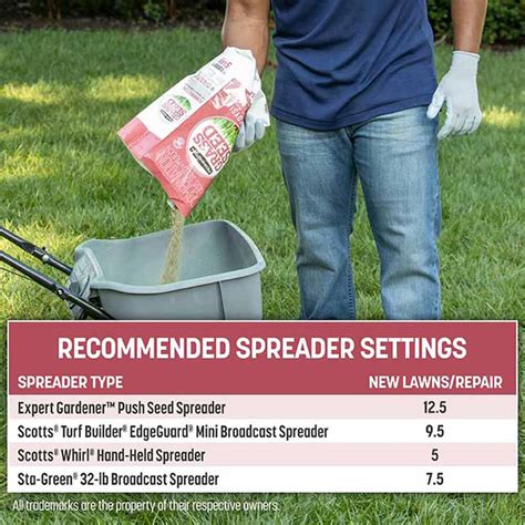 Zenith Zoysia Grass Seed 100 Pure Seeds 6 Lbs Tested 2021