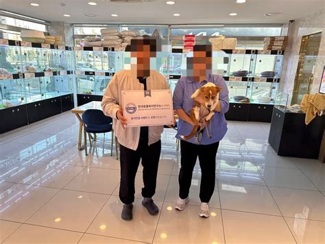 믹스견 파장 이탈리아그레이하운드입양 치와와입양 폼스키입양 폼치입양 폼피츠입양 푸숑입양 고양이입양 랙돌입양 러시안블루입양 먼치킨입양 브리티쉬숏헤어입양 노르웨이숲입양 뱅갈입양