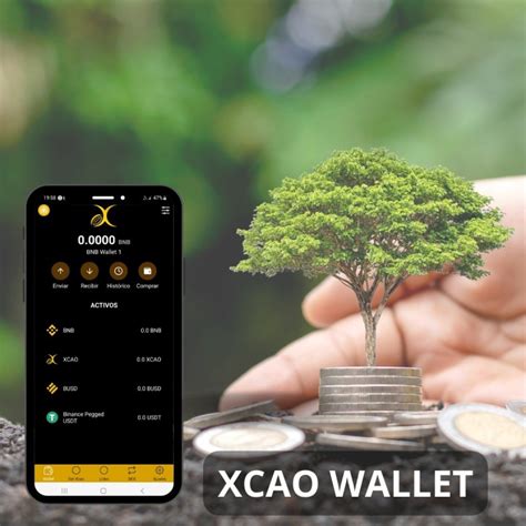 The History Of Cocoa From Payment Method To Xcao Token