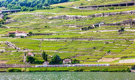 호수 제네바 Lavaux 포도 원 테라스와 스위스 리비에라 스위스 유럽으로가 기차와 알프스의 아름 다운 여름 풍경입니다 0명에 대한 스톡 사진 및 기타 이미지 Istock