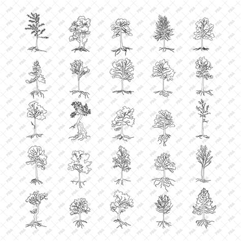 Cad Vector Trees With Roots In Color And B W