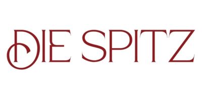 Die Spitz Chroniques Bio Disco And Infos Metalorgie
