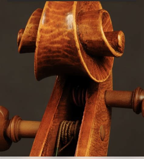 Interesting Viola Scroll The Pegbox Maestronet Forums