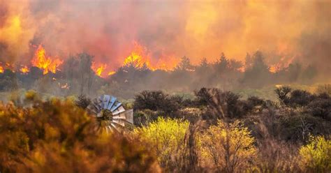 Zona De Desastre Incendios En Córdoba 20 Mil Hectáreas Quemadas