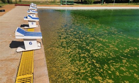 Nw Underwater Hockey Cleans Potch Dam Swimming Pool Potchefstroom Herald