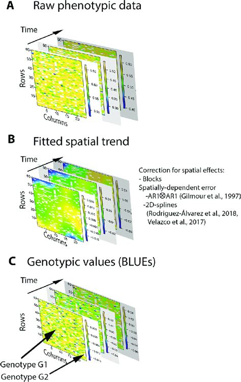 Raw Plot Data A Are Adjusted For Experimental Design Factors And Download Scientific Diagram