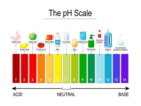 Ph Scale Chart Worksheet At Eva Murnin Blog